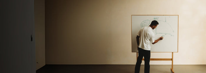 Longevity Academy – Connaissances d'expert pour un vieillissement en ...