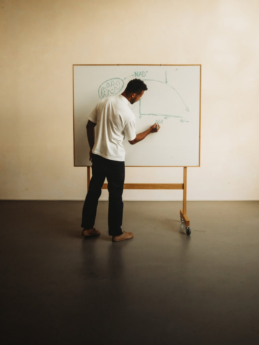 Longevity Academy – Connaissances d'expert pour un vieillissement en ...